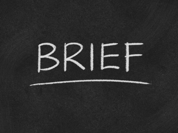 Event stewards provided by the experts at SecurePro - across the UK